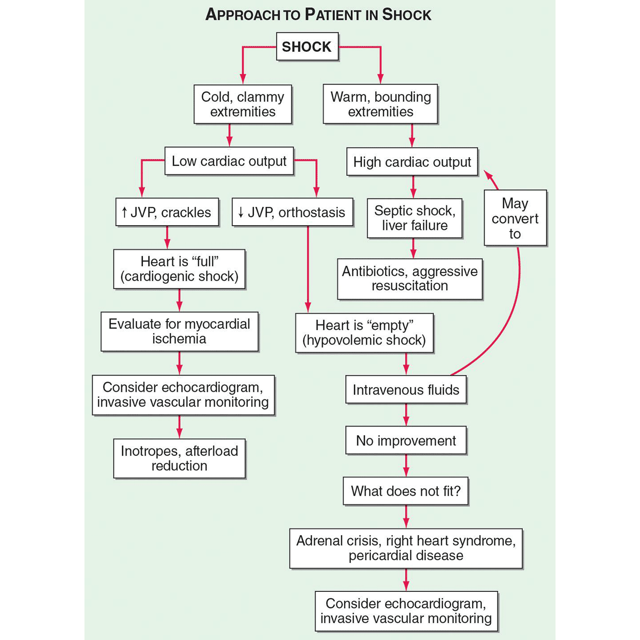 کتاب Harrisons Principles of Internal Medicine | کتاب اصلی Harrisons